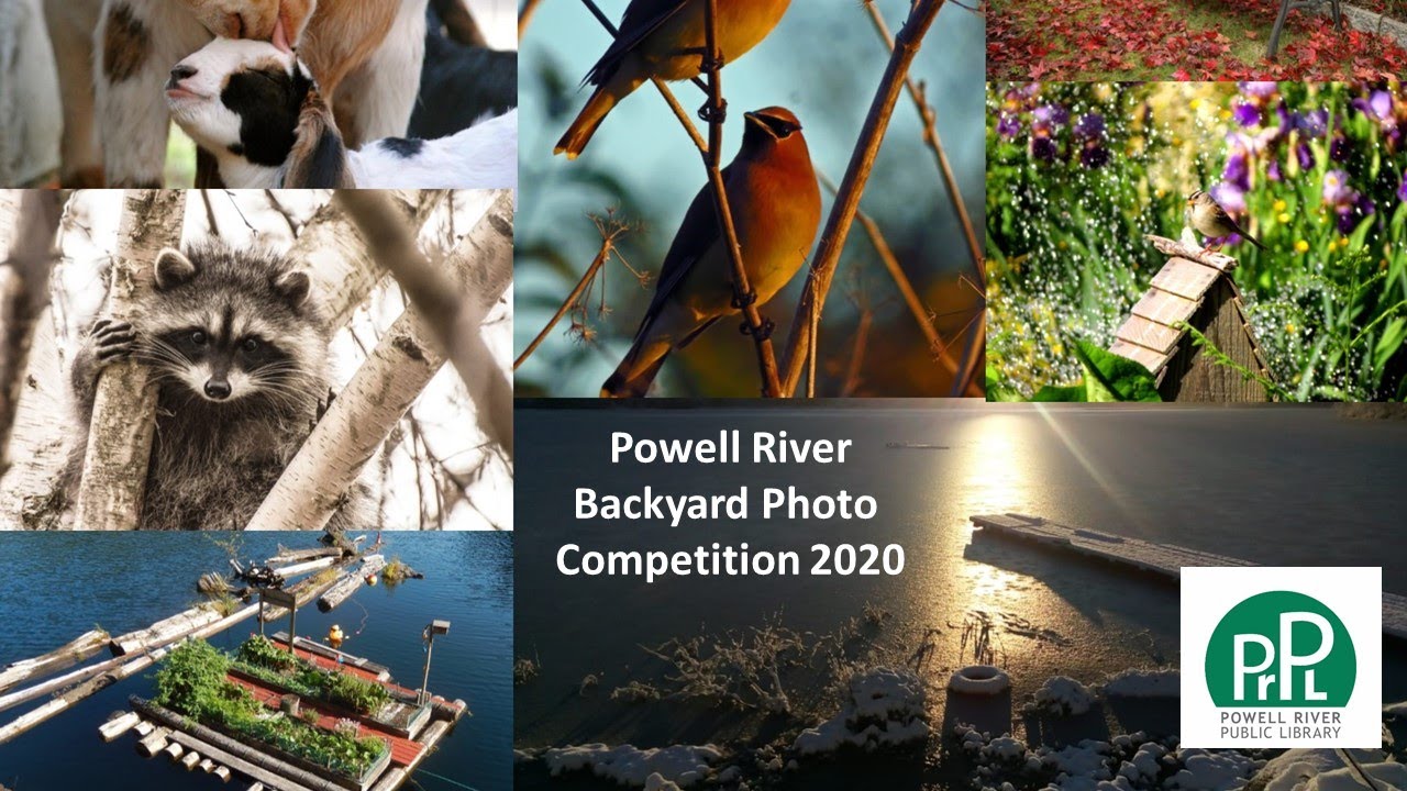 2020 Powell River Public Library Backyard Photography Competition ...