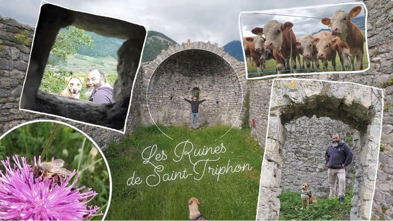 Les Ruines de Saint Triphon. #07.039 - YouTube