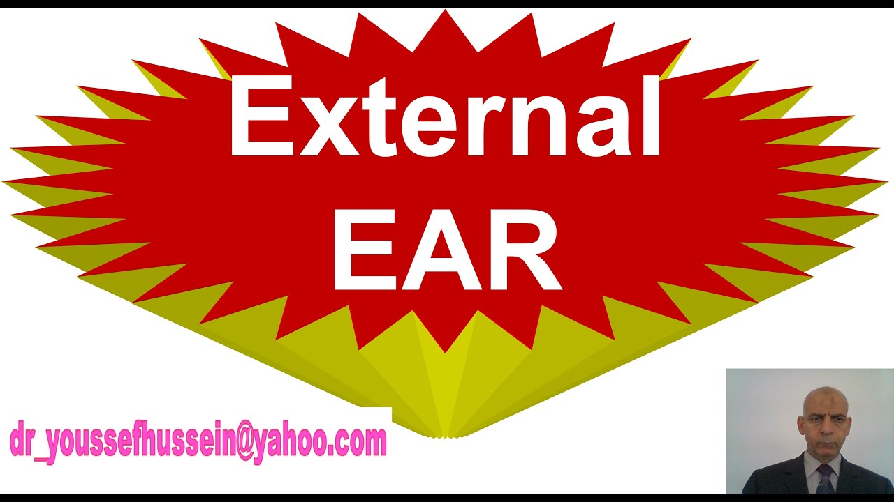 External Ear - Auricle - Tympanic membrane - Ear drum - Otoscope ...