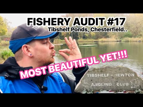 Tibshelf ponds, Fishery Audit #17, the most beautiful fishery I’ve ever ...