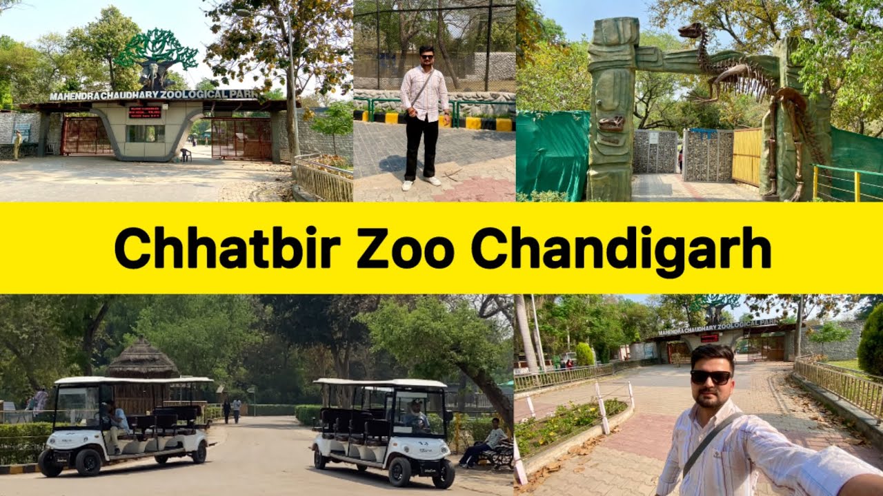 Chhatbir Zoo in Chandigarh | Famous Place in Chandigarh | छतबीर ...