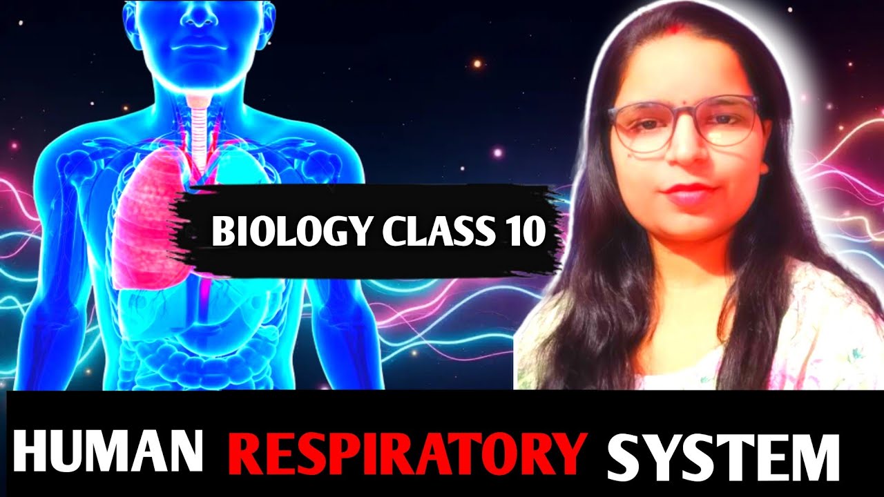 Human Respiratory System Class 10 ll Life Processes Class 10 Biology ll ...