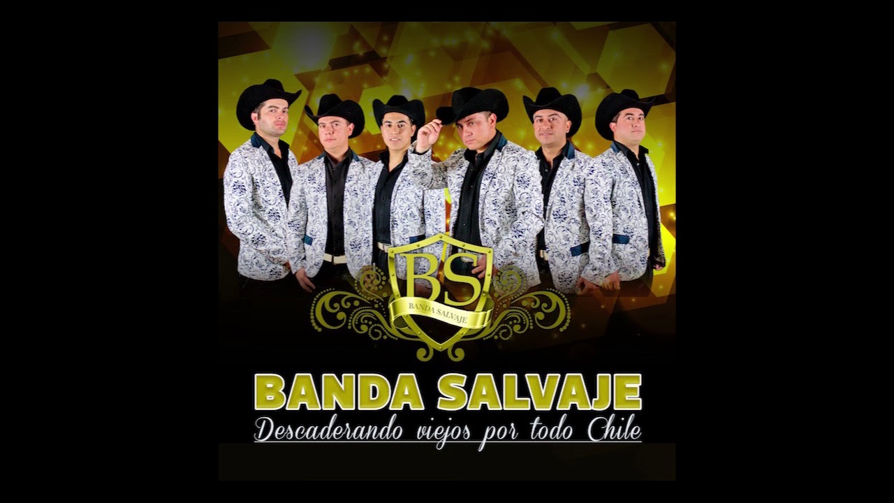 Banda Salvaje - No Te Esperabas - YouTube
