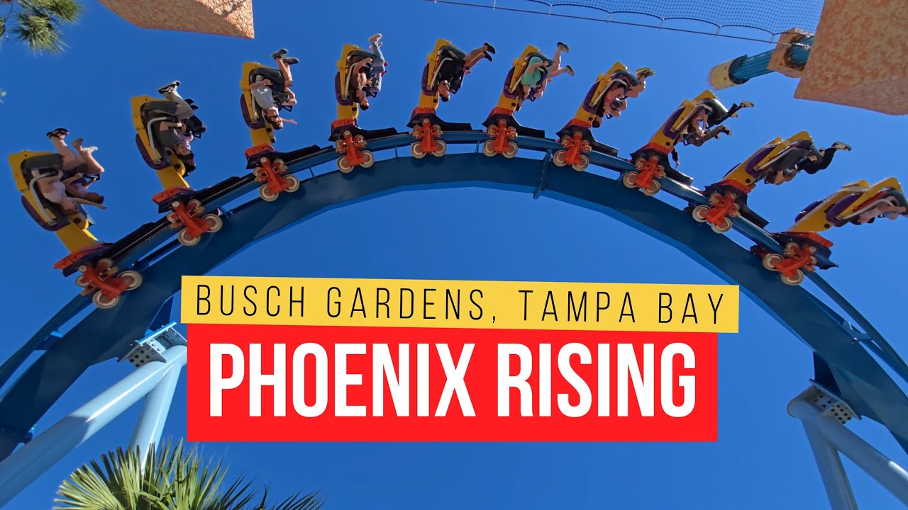 Phoenix Rising, Busch Gardens Tampa Inverted Roller Coaster Front Row ...