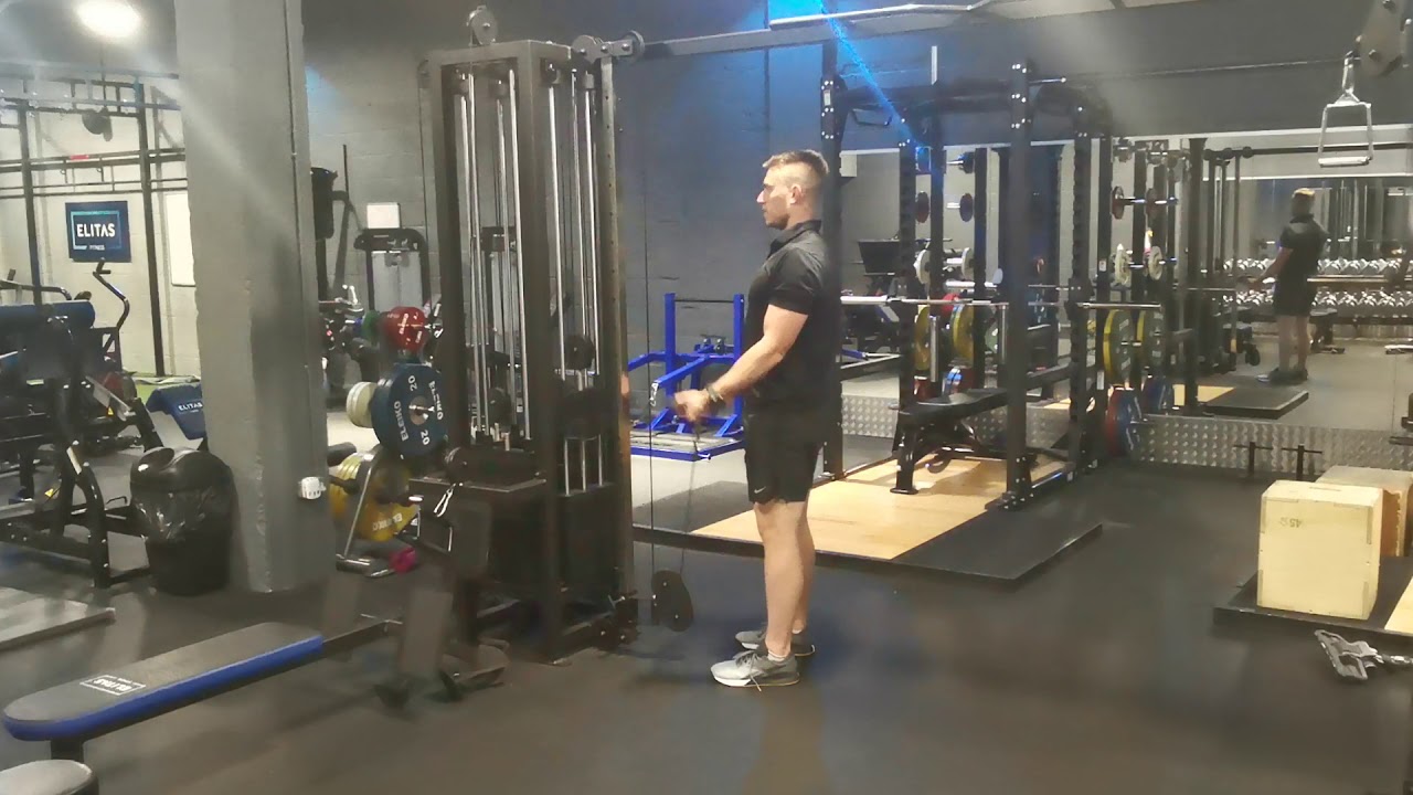 Standing Cable Curls - YouTube