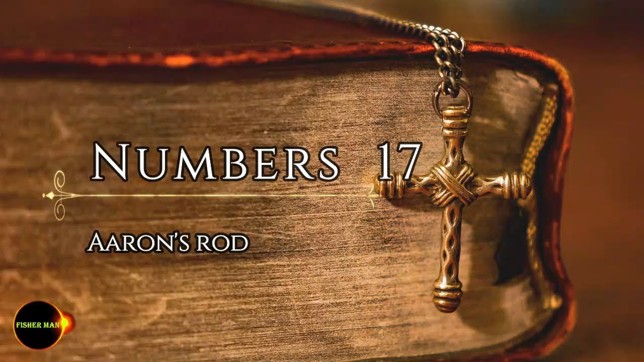 Numbers 17 - YouTube