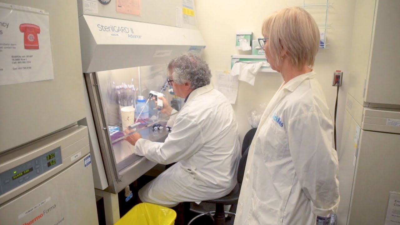 Opening the 'Black Box' of the Human Brain - YouTube