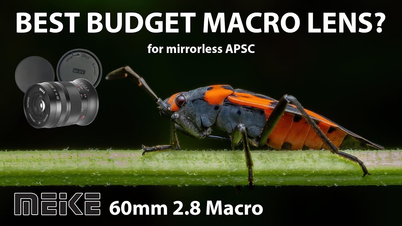 Meike 60mm Macro Lens Review! Is this the best budget lens for APSC ...
