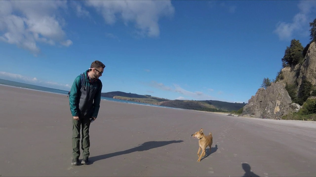 Long Beach - Heyward Point Track Road Trip, New Zealand (GoPro/DJI ...