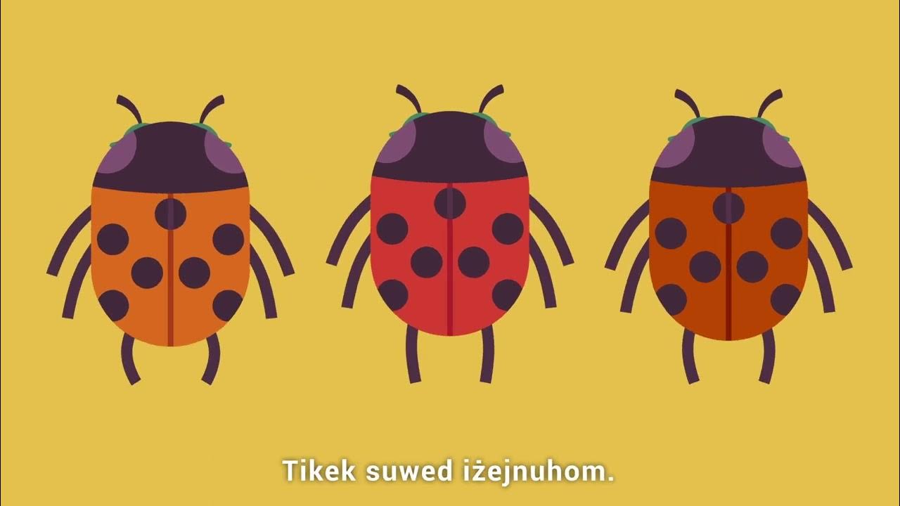 Nannakola mur l-iskola - YouTube