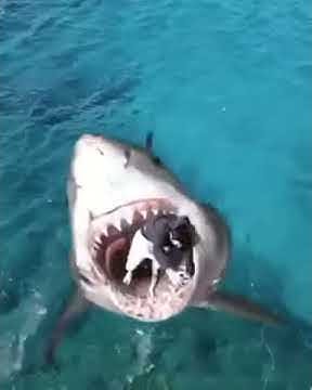 Bokep di pantai.gratis,simontok.com - YouTube