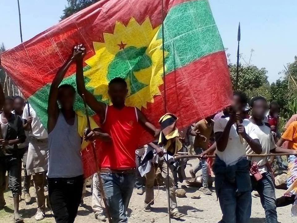 New Oromo Song 2016 ODA TREE by Faysal Kumbi, English version. - YouTube