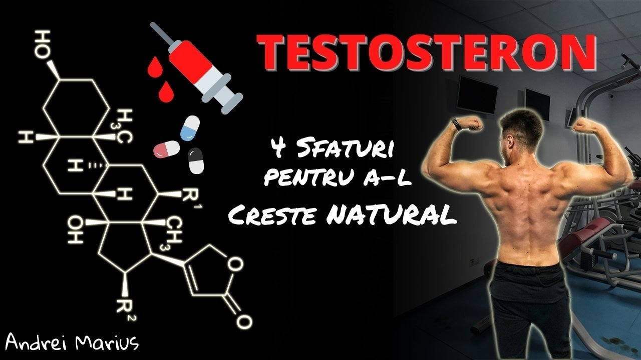 Testosteron | 4 Sfaturi pentru a Crește Secreția - Suplimente ...