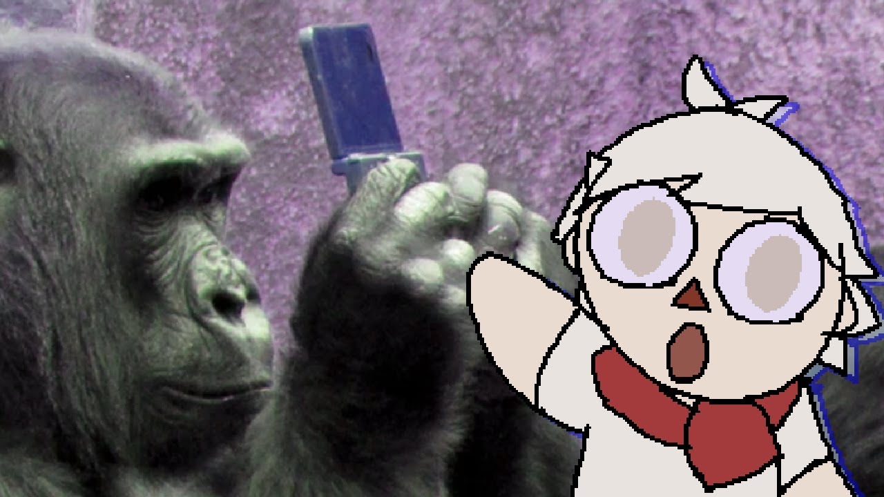 Monkeys In Gaming In IRL - YouTube