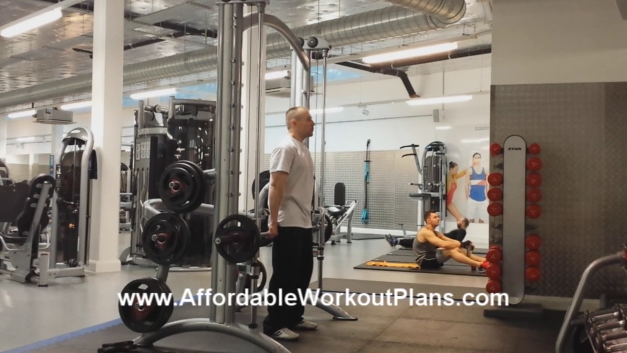 Smith Machine Shrugs Behind the Back (exercise for traps, shoulder ...