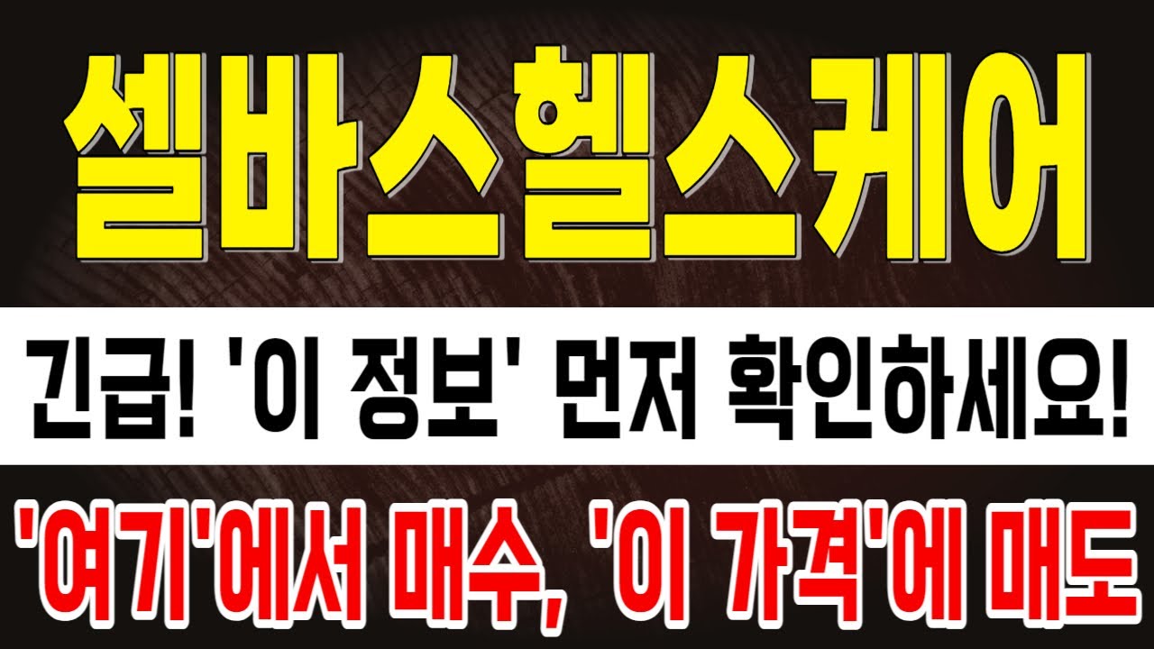 셀바스헬스케어 셀바스헬스케어주가전망 Ai심장초음파미국fda승인 셀바스ai 셀바스ai주가전망 셀바스헬스케어목표가