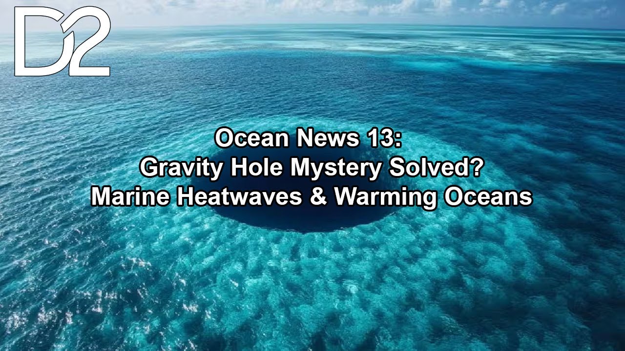 Ocean News: Marine Heatwaves Reshaping Ecosystems, IOGL Gravity Hole ...