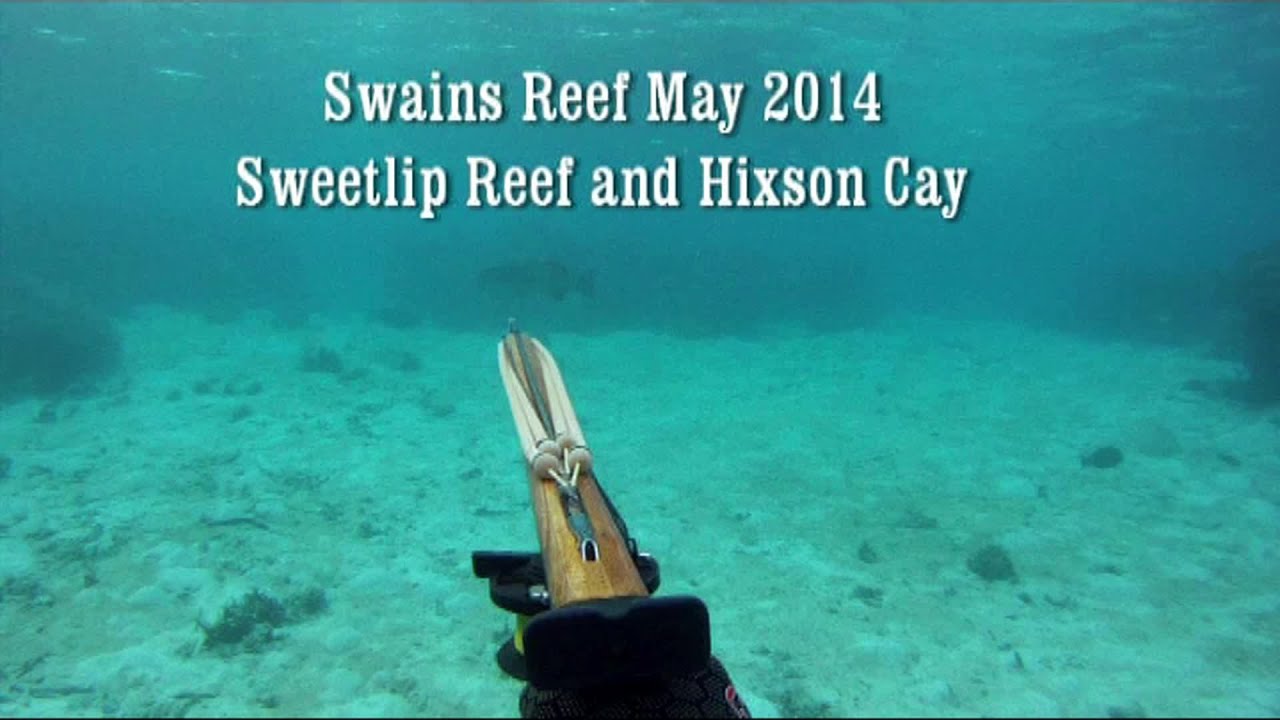 Swains Reef May 2014 - Fishing & Spearfishing - YouTube