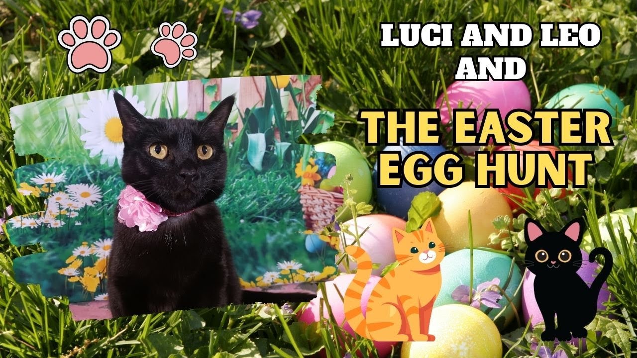 Luci and Leo and The Easter Egg Hunt - YouTube