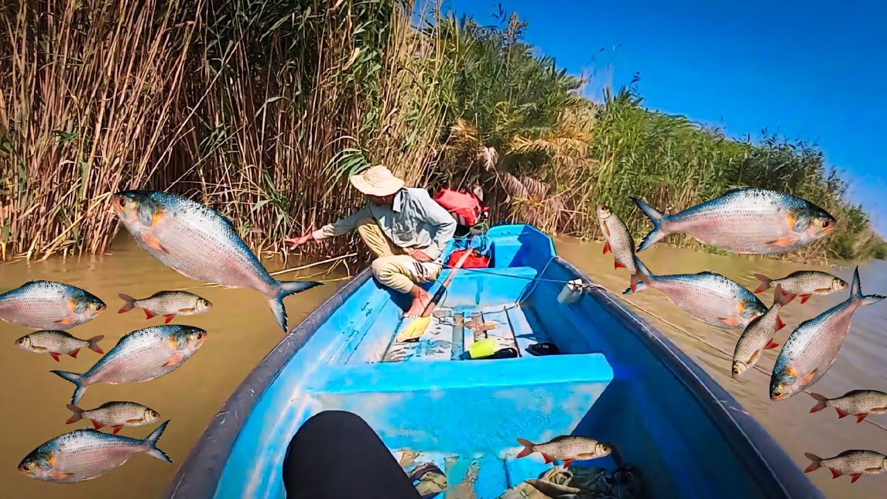 Did you know that you can catch a lot of fish with this technique ...