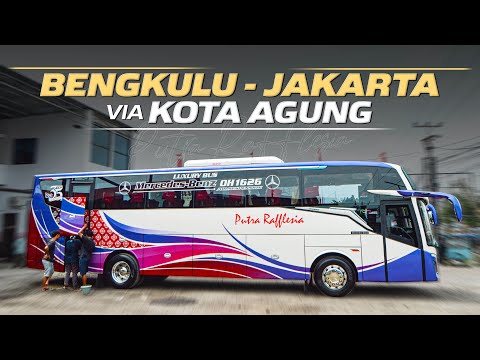 1 HARI 1 MALAM DI BUS INI, SENYAMAN APA⁉️Trip Bengkulu - Jakarta with Putra Rafflesia