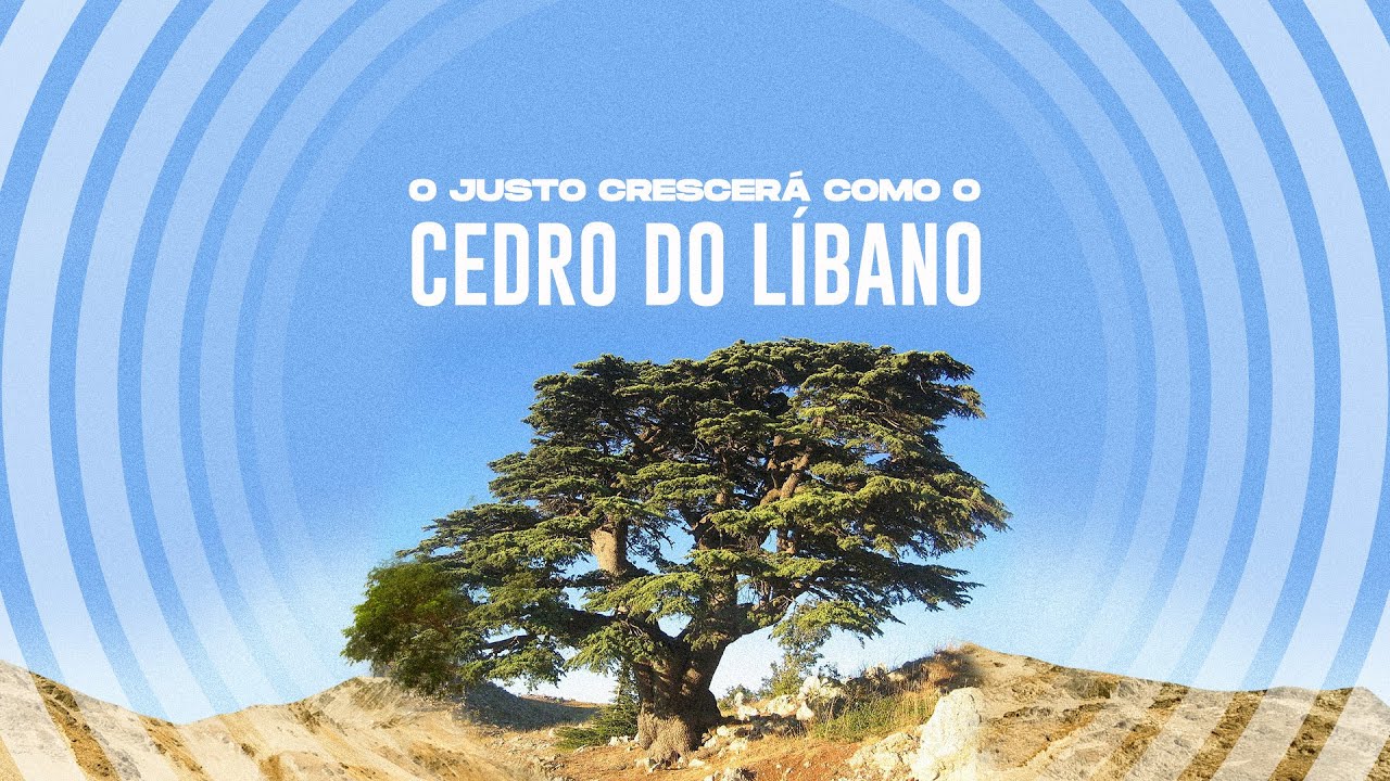Cedro Do Líbano Bíblia - RETOEDU
