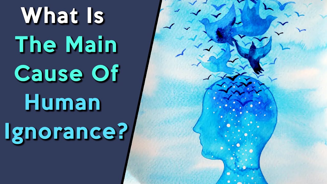 What is the main cause of Human Ignorance? - YouTube