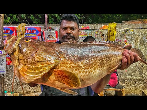 KASIMEDU 🔥 SPEED SELVAM | HUGE BIG GROUPER FISH CUTTING VIDEO | 4K VIDEO | KM FISH CUTTING