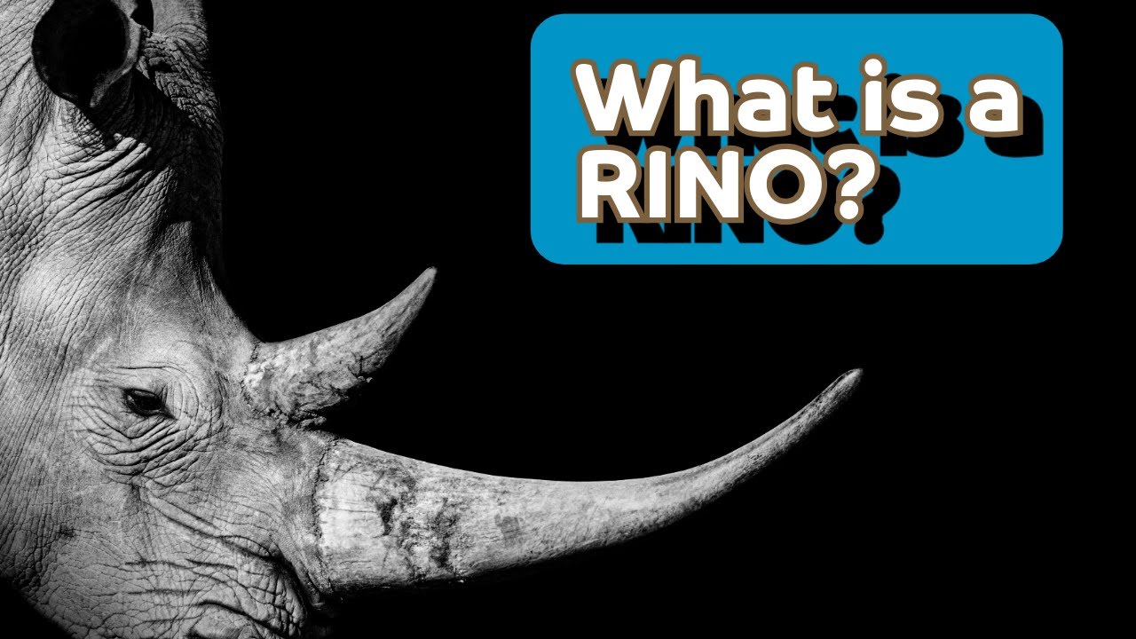 What Is a RINO? - YouTube