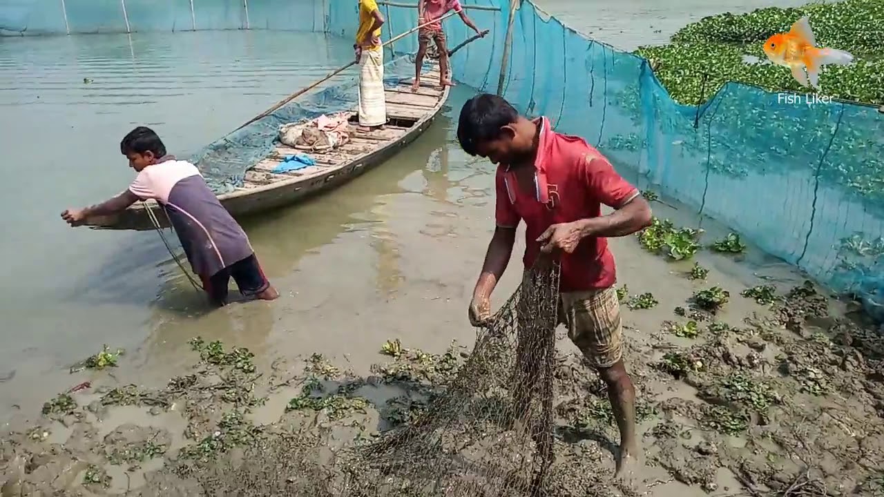 Amazing Fishing Bangladesh Boral Nodi 2019 (Part_1) - YouTube