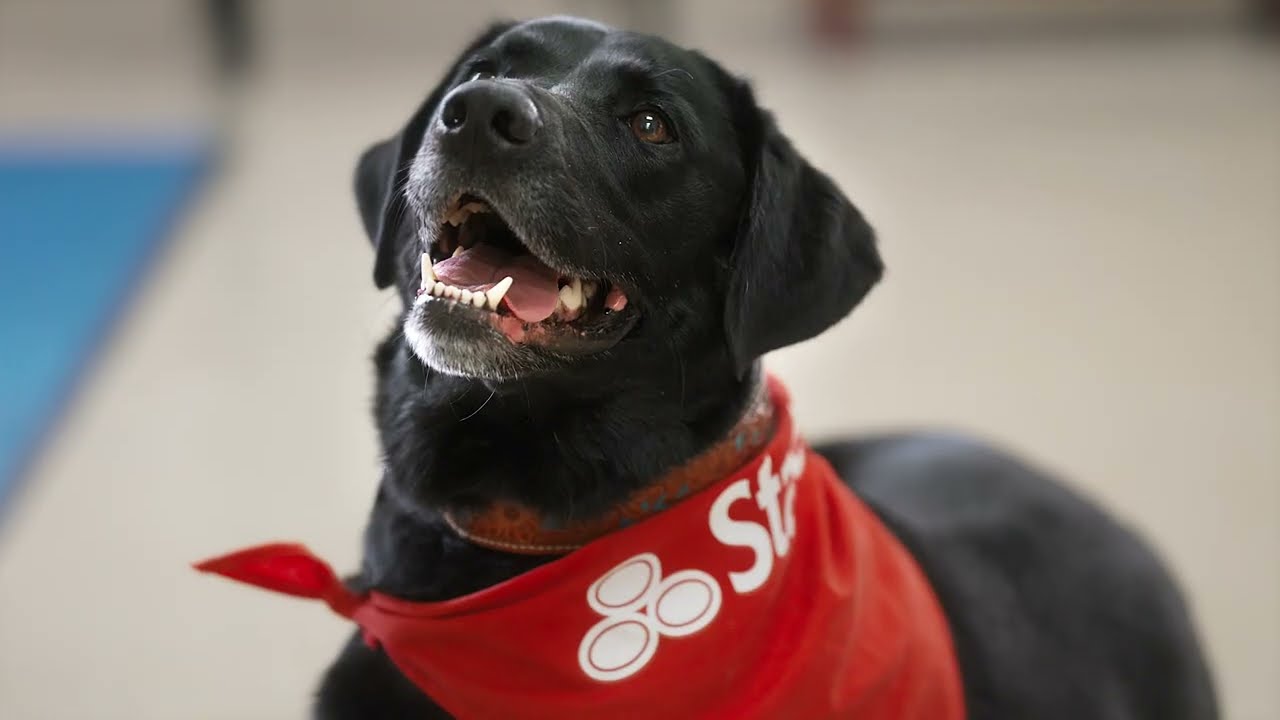 Small Business Insurance | State Farm® - YouTube