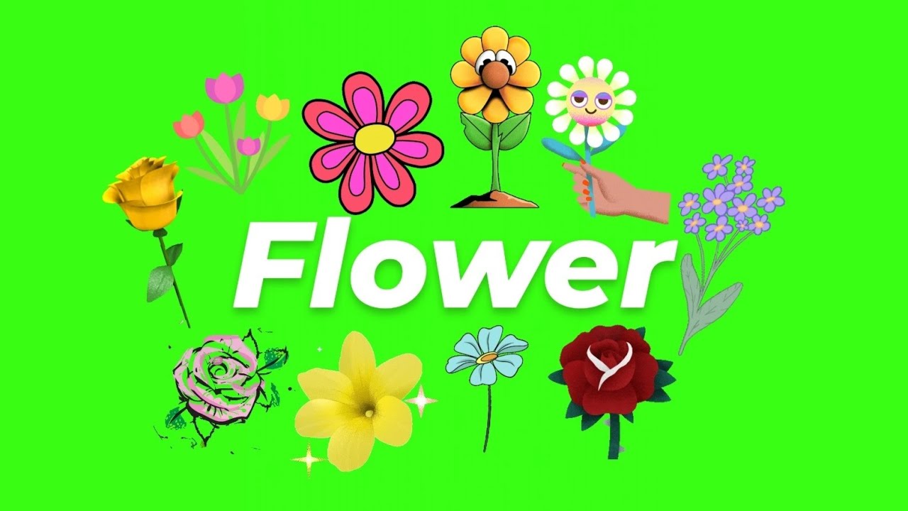 Animated Flower GIF Green Screen Pack (Free Download) - YouTube