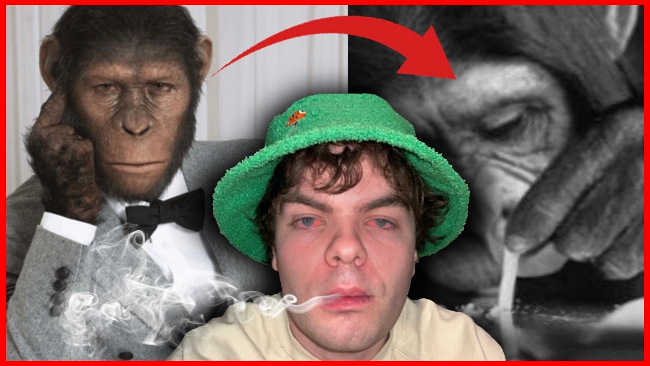 TOP 10 ANIMALS THAT ARE ADDICTED TO DRUGS (Mother Nature is an ...