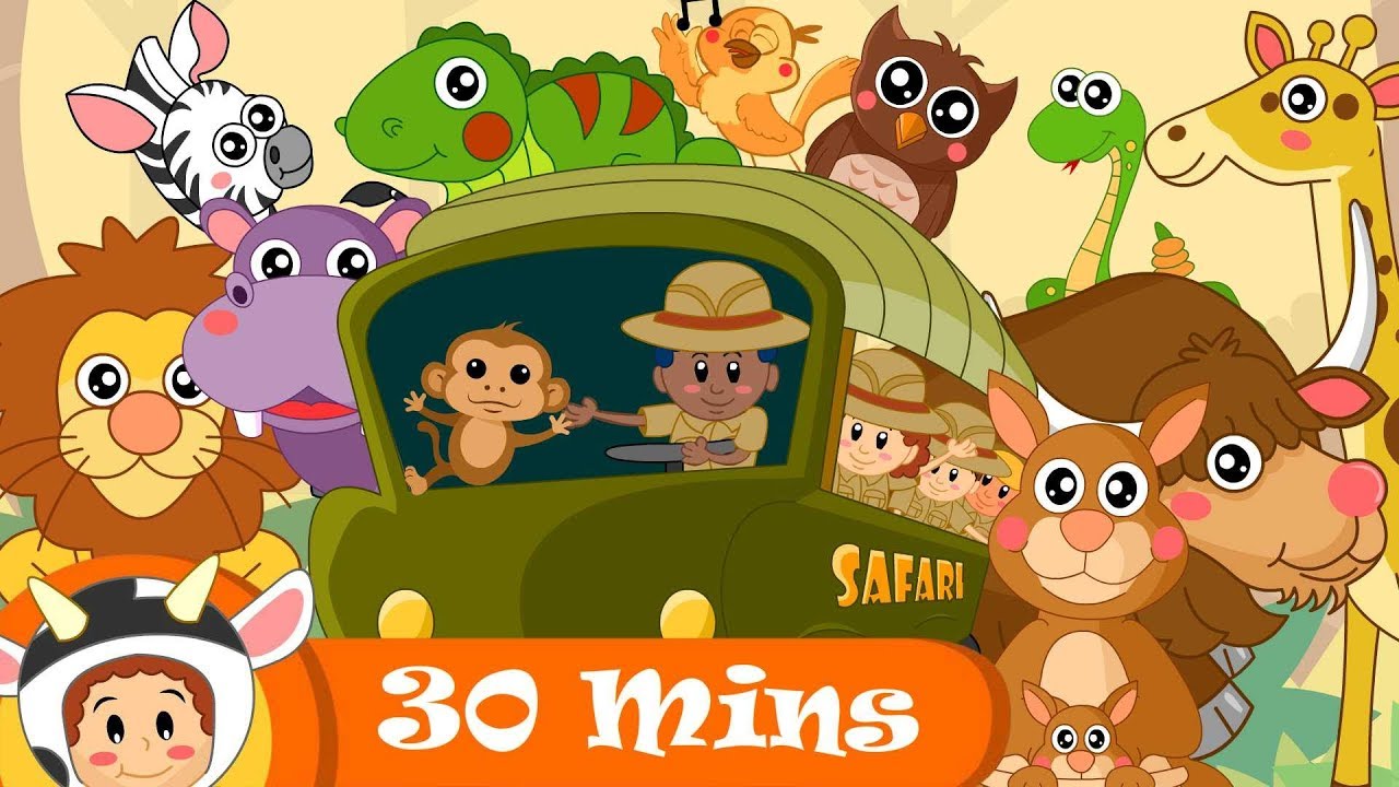 The Animal Safari Song | ABC Alphabet and More Songs for Kids ...