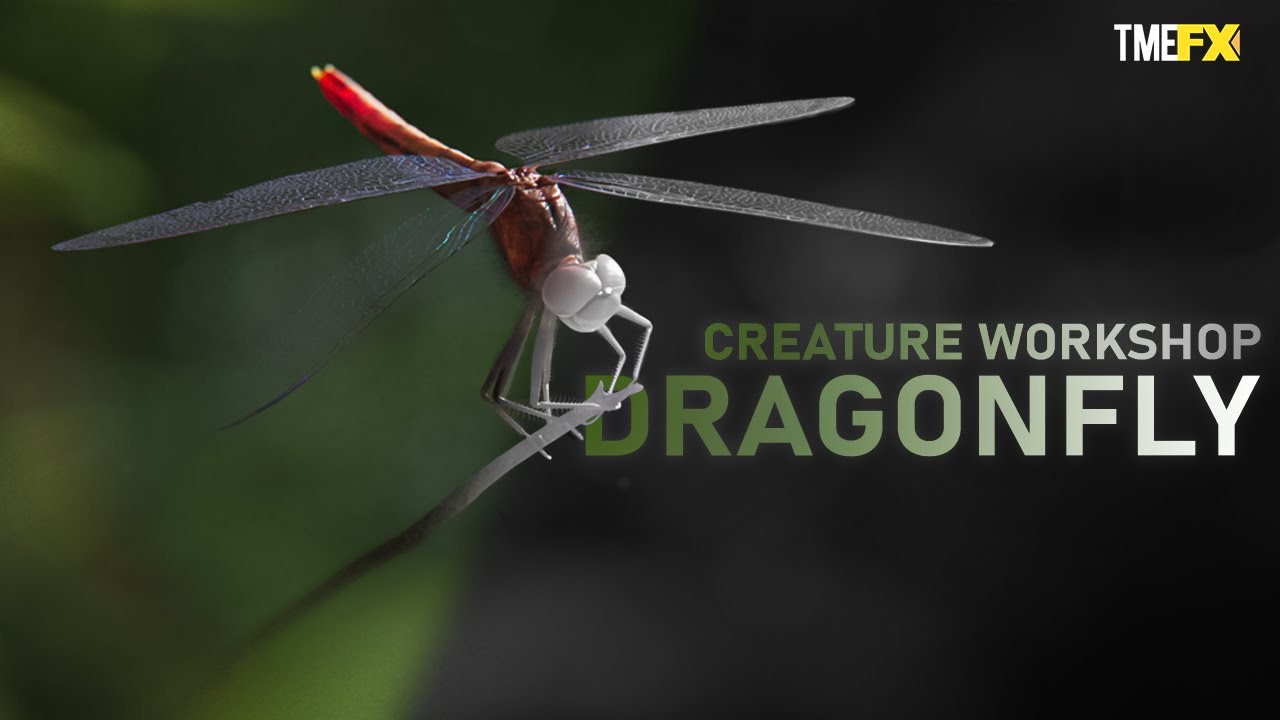 Creature Workshop Dragonfly | VFX Breakdown | TMEFX #wildlife #youtube ...