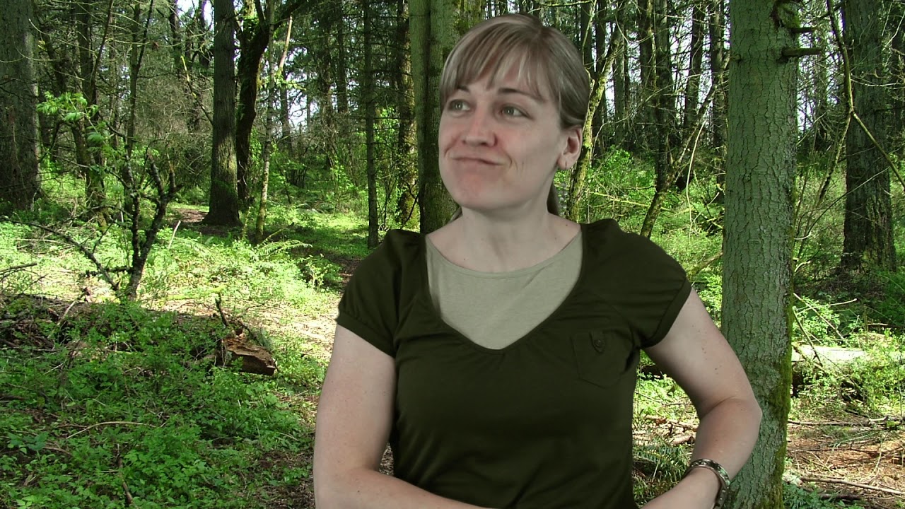 Visual Vernacular ASL Storytelling "The Hiking Incident" (with the ...