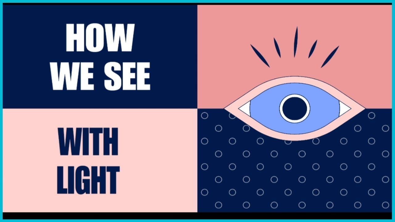 How we see with light / How eyes see light . - YouTube