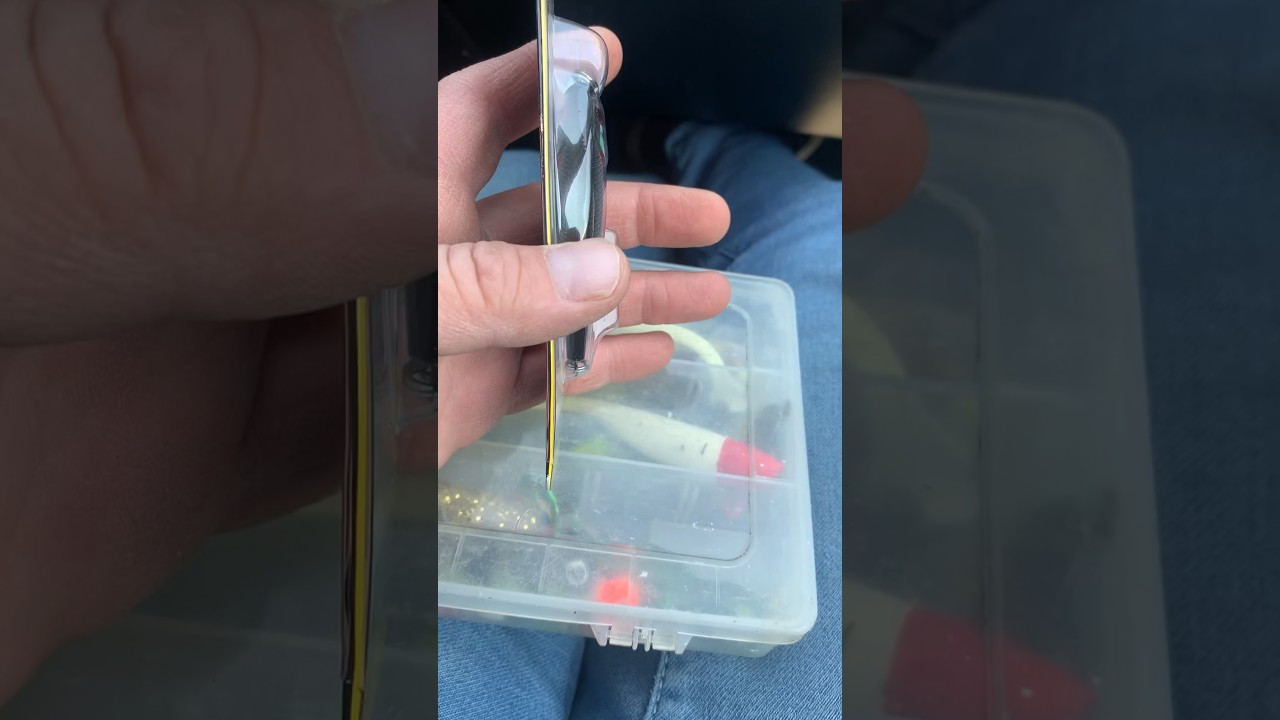 One lure for all species : deadly lure that you need to have in your ...