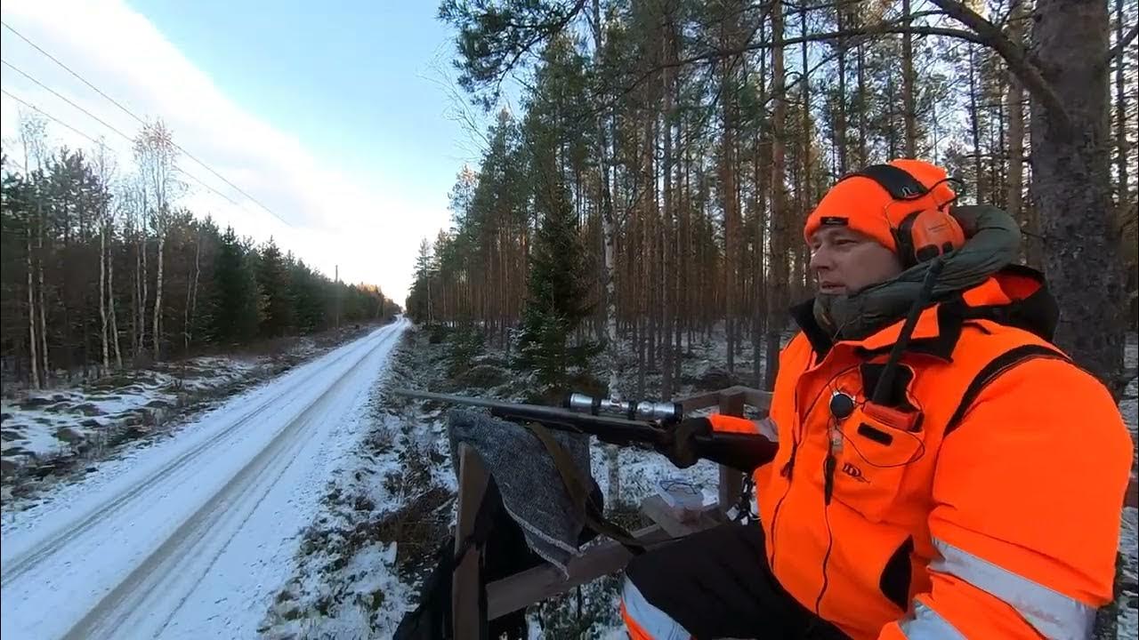 Älg jakt 28.10-2023 Del 2 - YouTube