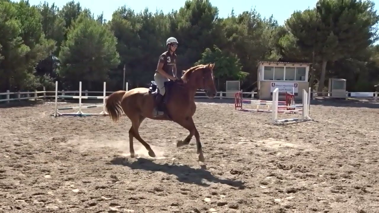 PRÉSENTATION EQUITATION SENSITIVE ET SANS LA VUE ESSV ARAC - YouTube