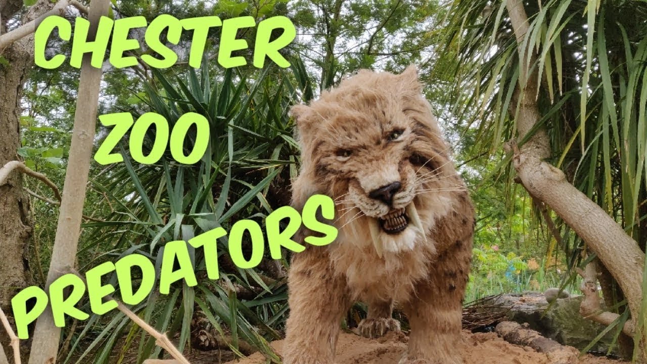 Chester Zoo: Predators Animatronics exhibition Tour 2019 - YouTube