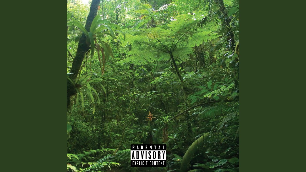 JUNGLE (Freestyle) - YouTube