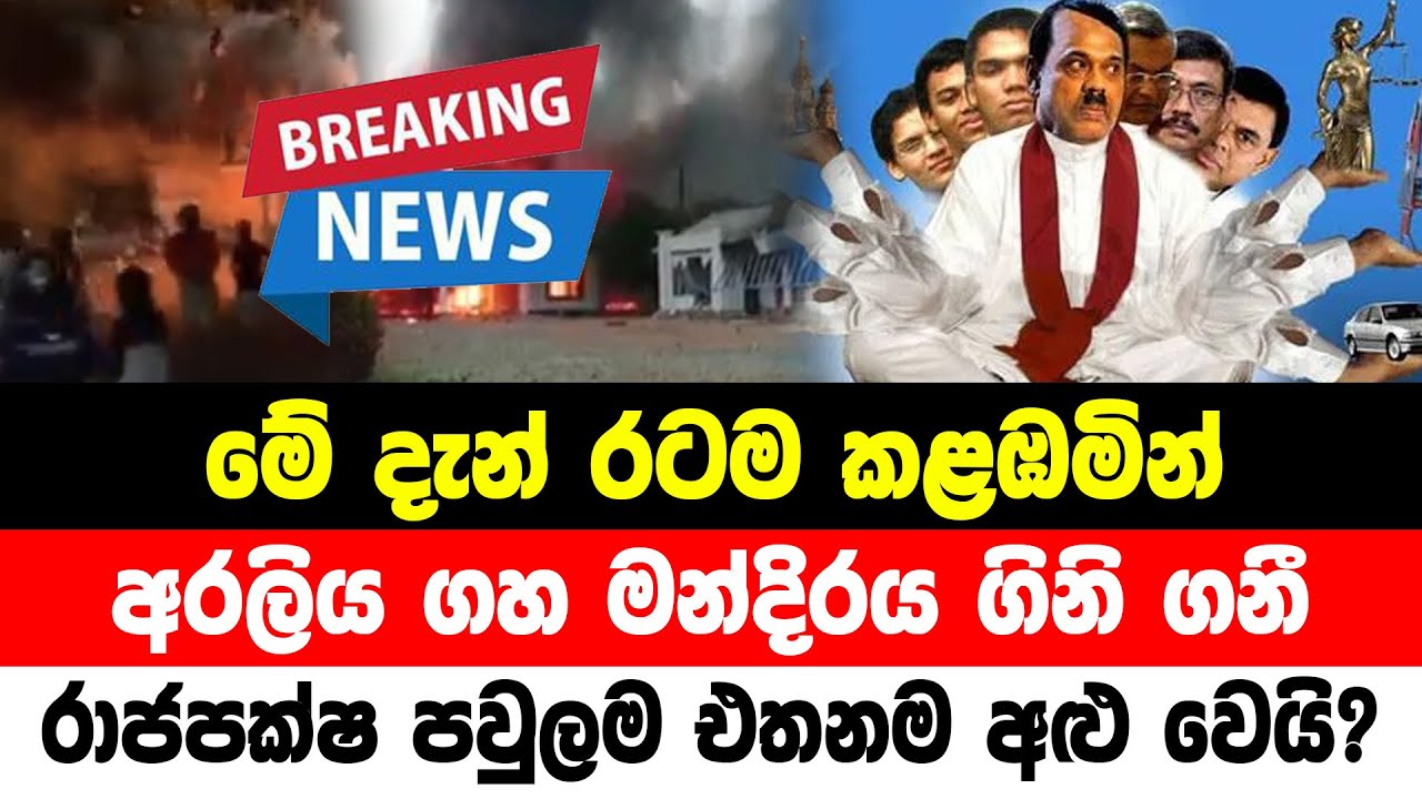 News Alert Special | Here is special news just received - YouTube