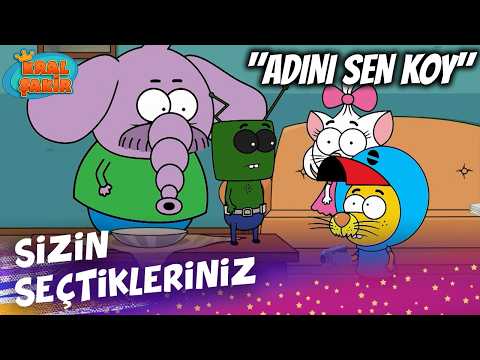 Necati'den Korkan Uzaylı 👽 | Kral Şakir | Adını Sen Koy