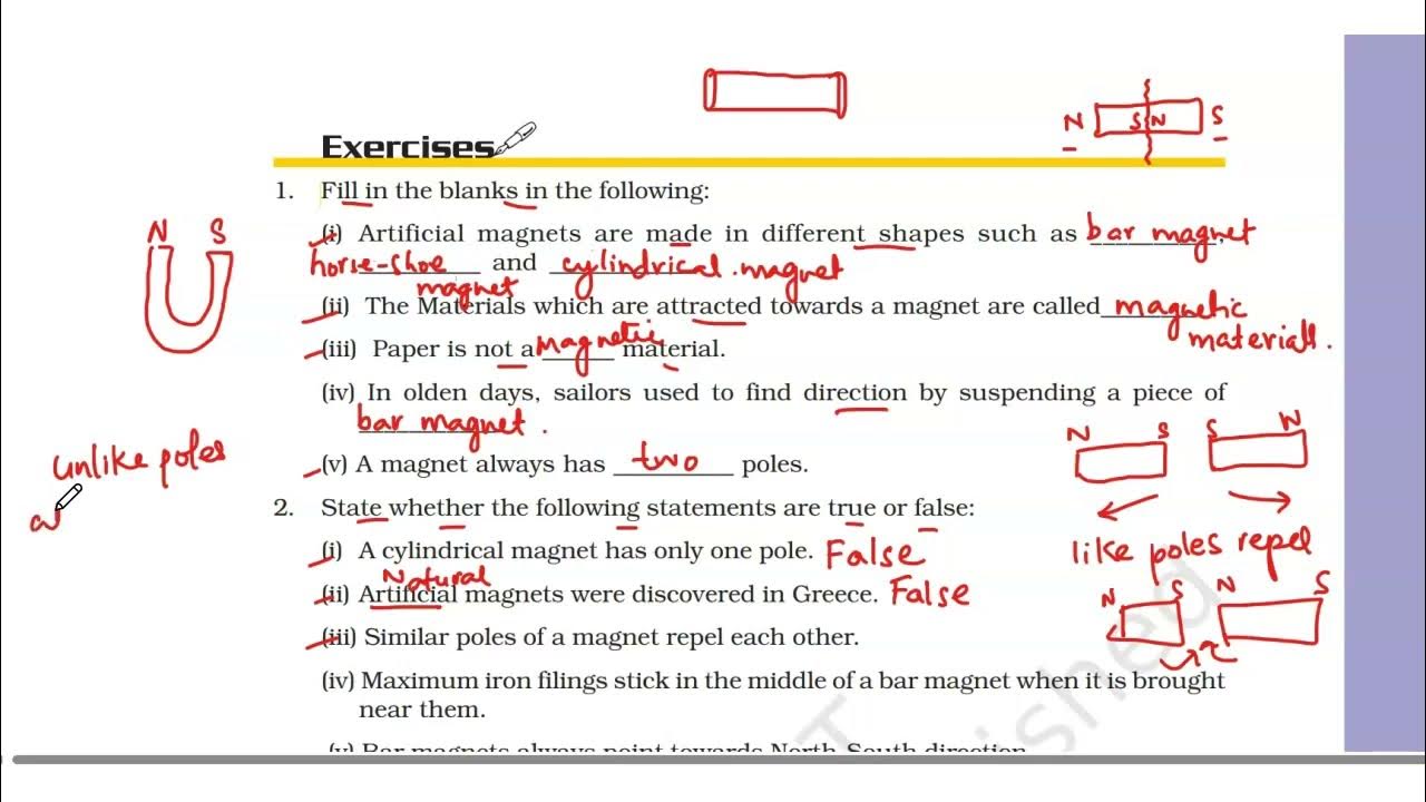 Fun With Magnets Q/A Solved | NCERT Class 6 Science Chapter 13 Exercise ...