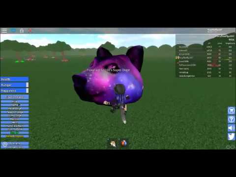 Raising an EPIC doge!! (Grow and Raise an EPIC Doge) (ROBLOX) - YouTube