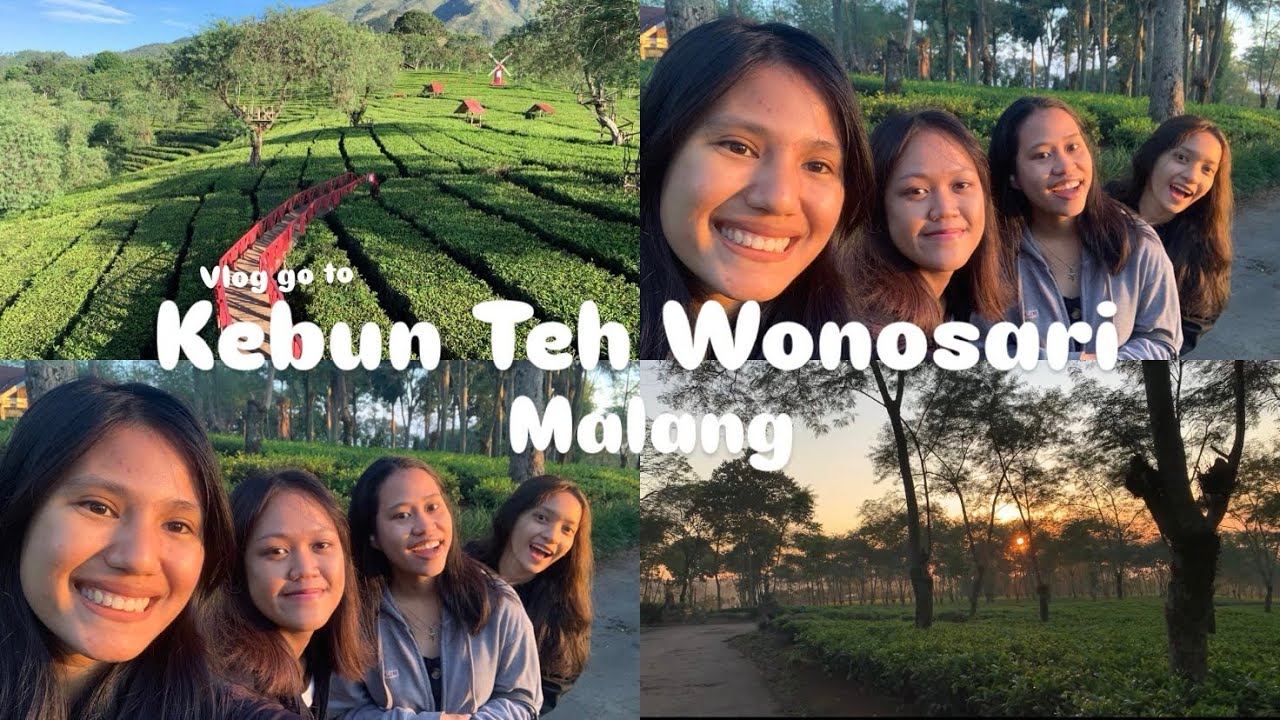 Kebun Teh Wonosari Malang, Bukit Kuneer - YouTube