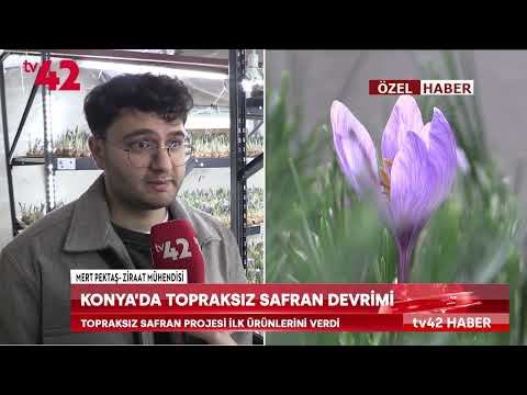 KONYA'DA TOPRAKSIZ SAFRAN DEVRİMİ