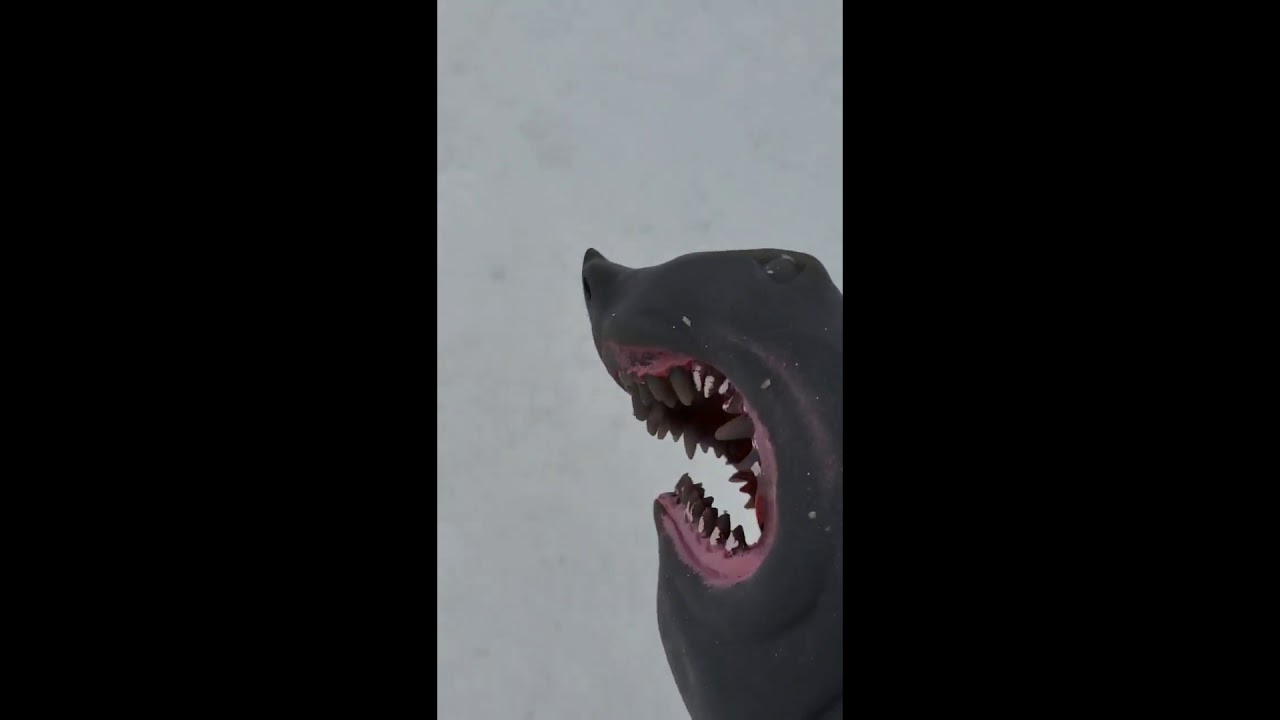 Shark Puppet Eats Snow - YouTube