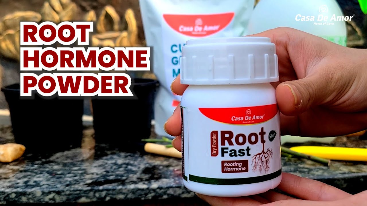 Root Fast Rooting Hormone, Promotes Rooting, Grow New Plants from ...